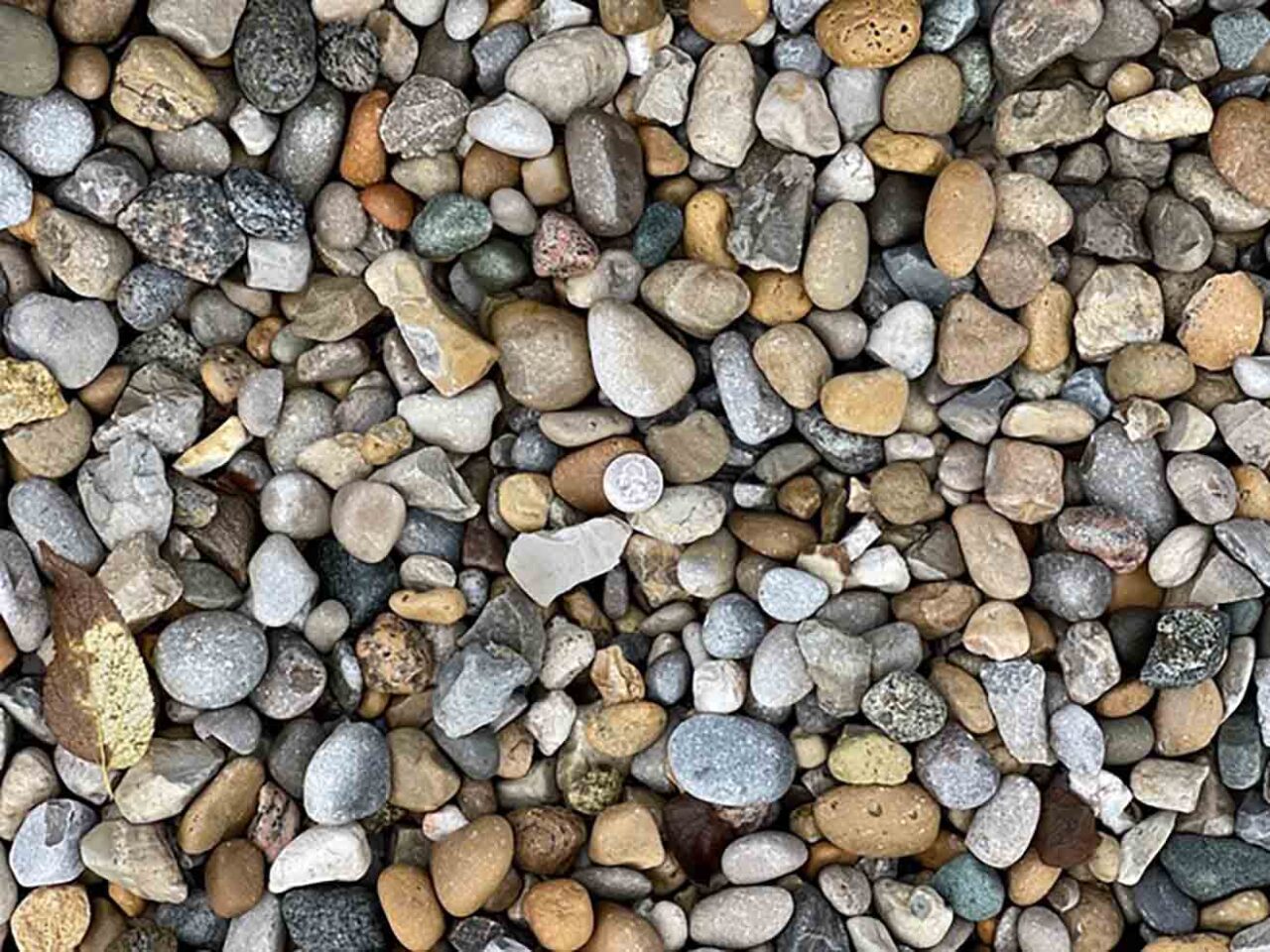 Maylen Black - Green Stone Company