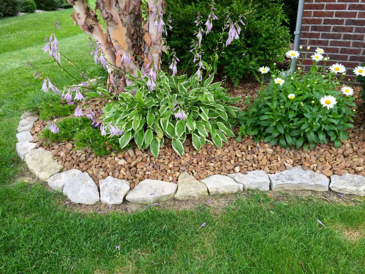 Natural Wall – Green Stone Company