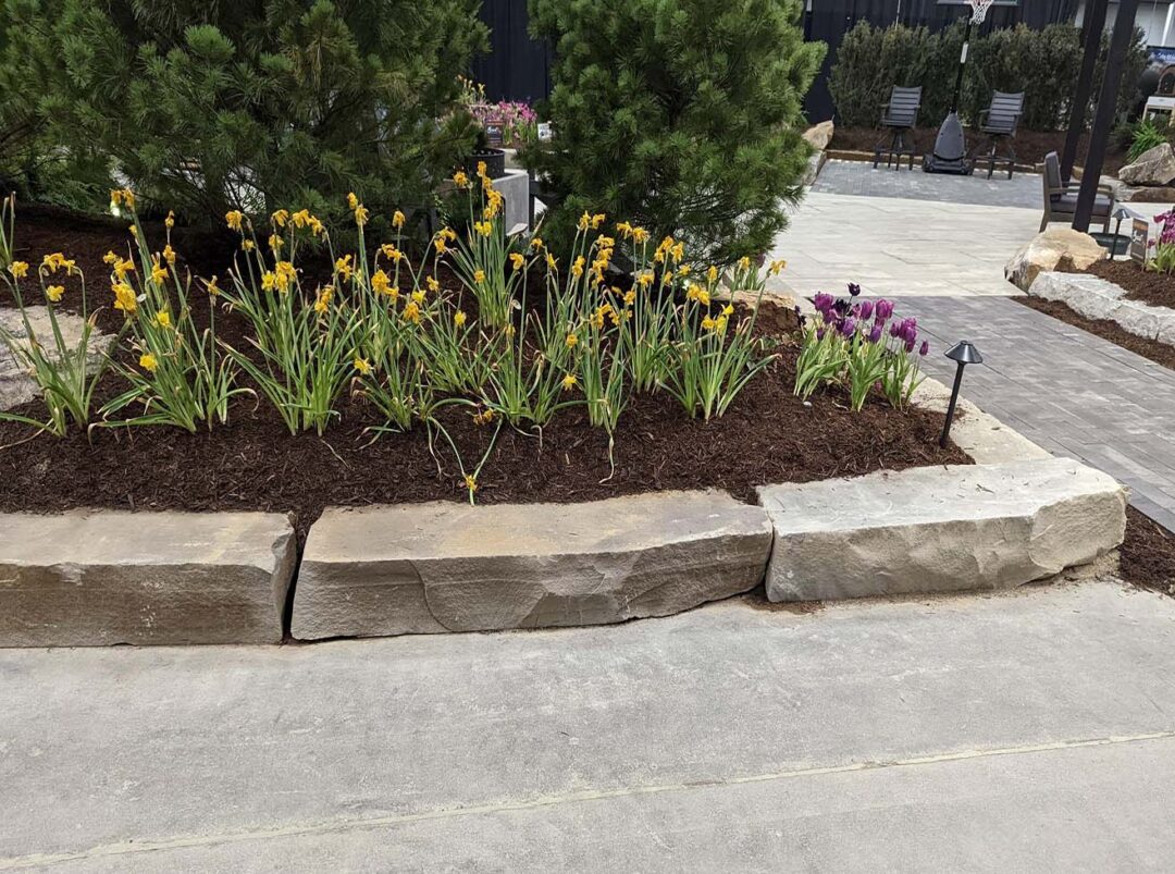 Canyon Gray Split Ledge – Green Stone Company